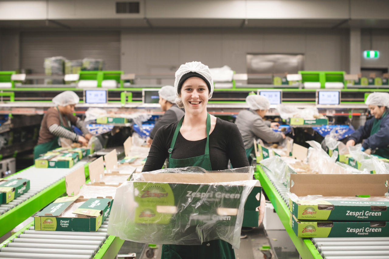Employment - Auckland Pack & Cool